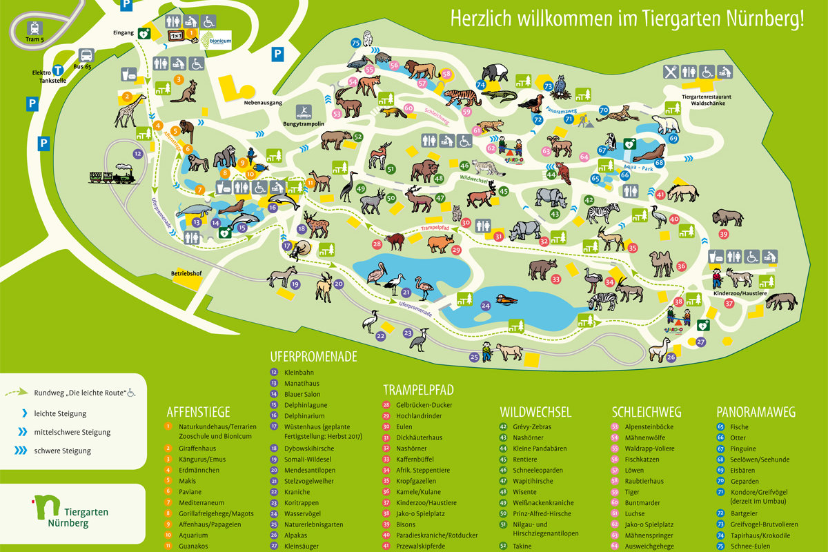 ZOO & Delfinárium Norimberk – Vstupné a Recenze🥇